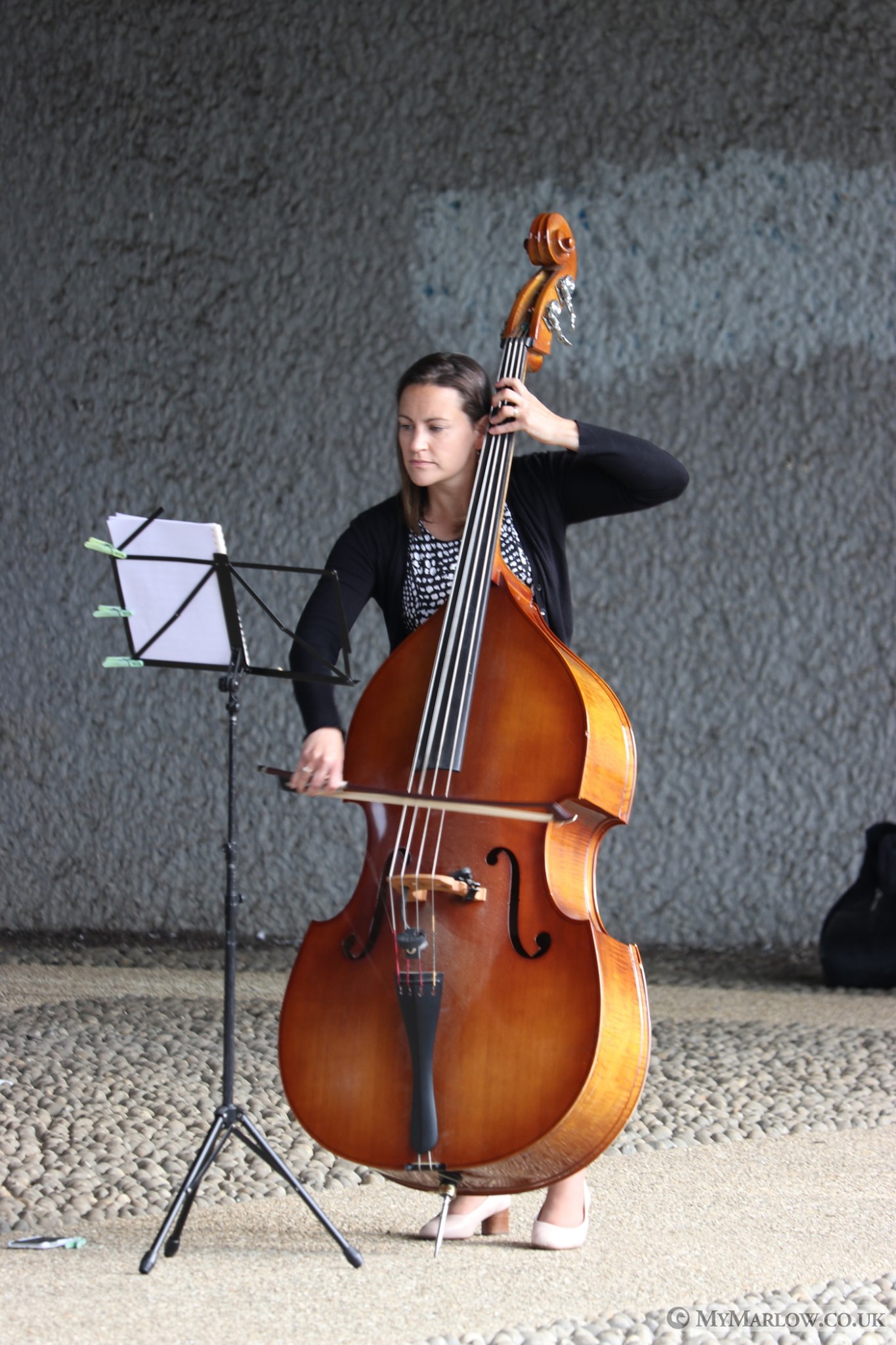 Gallery – Marlow Orchestra